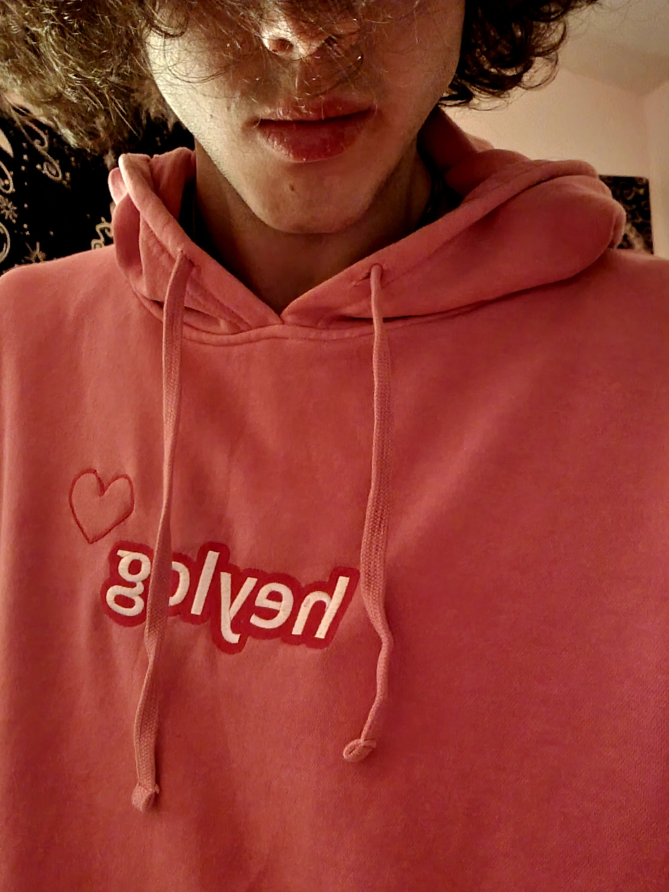 Heylog Embroidered Hoodie – byelog