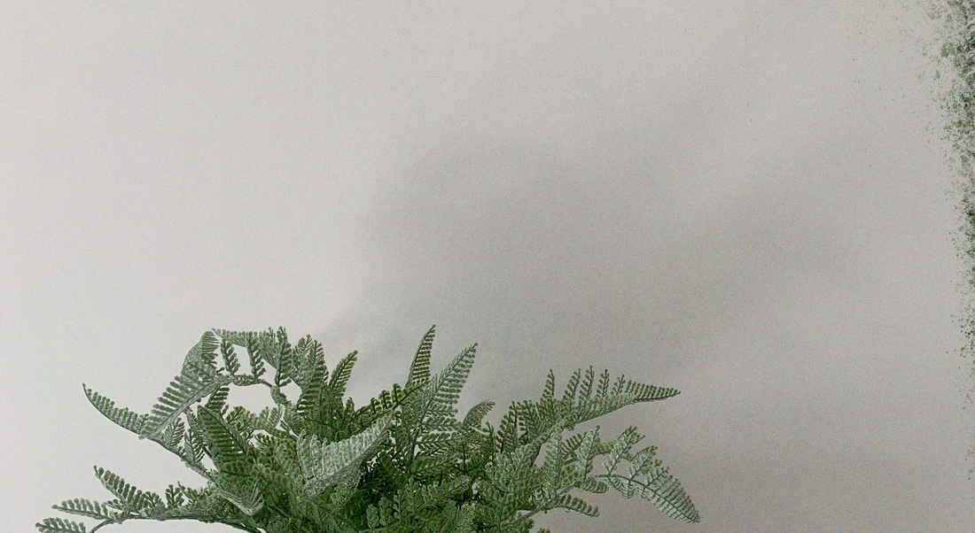 heylog merch – byelog