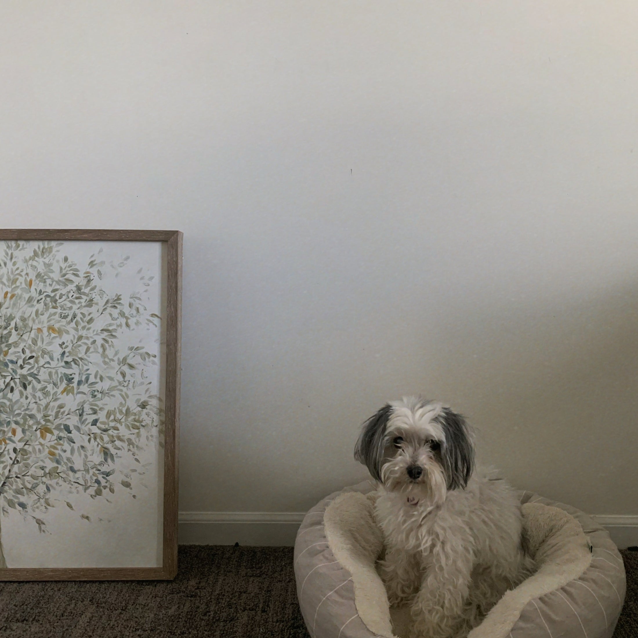 heylog merch – byelog